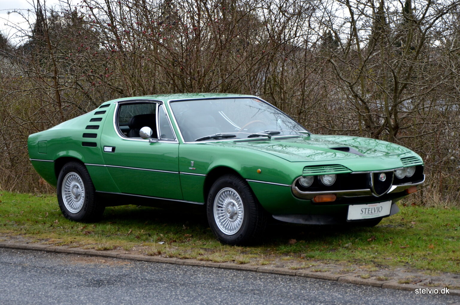 Biler på vej | Stelvio Automobili